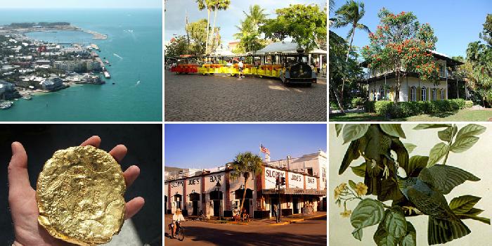 Cruises To Key West, Florida | Key West Shore Excursions