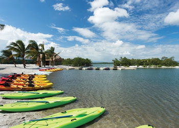 Cruises To Harvest Caye, Belize | Harvest Caye Shore Excursions