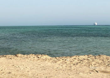 Cruises To Al Rayes, Saudi Arabia | Al Rayes Cruise Ship Arrivals