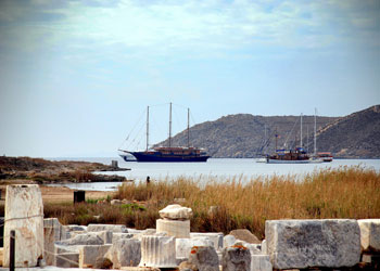 Delos Cruise Ship Schedule | Delos Cruise Port Schedule