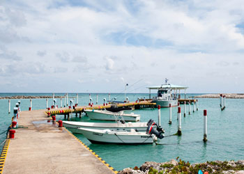 Cruises To Punta Cana, Dominican Republic | Punta Cana Cruise Ship Arrivals