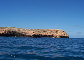 Cruises To Steep Point, Australia | Steep Point Cruise Ship Arrivals