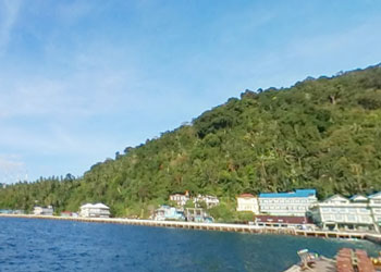 Terempa Cruise Ship Schedule | Terempa Cruise Port Schedule